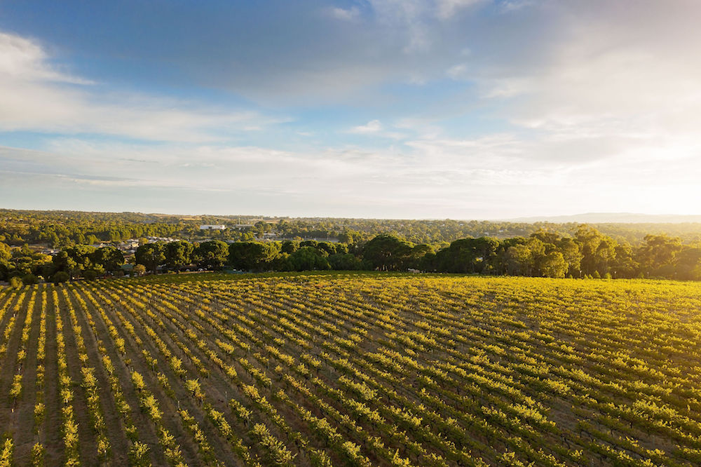 Resources | Hurtle Grove | Where you want to be